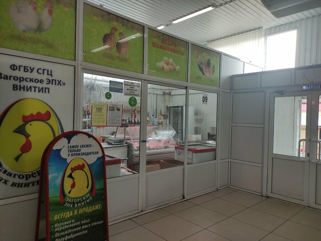 Kanatlı hayvan ürünleri ve yumurta Загорское Эпх, Sergiyev Posad, foto