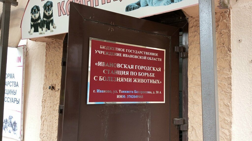 Veteriner klinikleri Ветеринарная клиника, İvanovo, foto