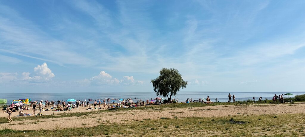 Plaj Пляж, Novgorodskaya oblastı, foto