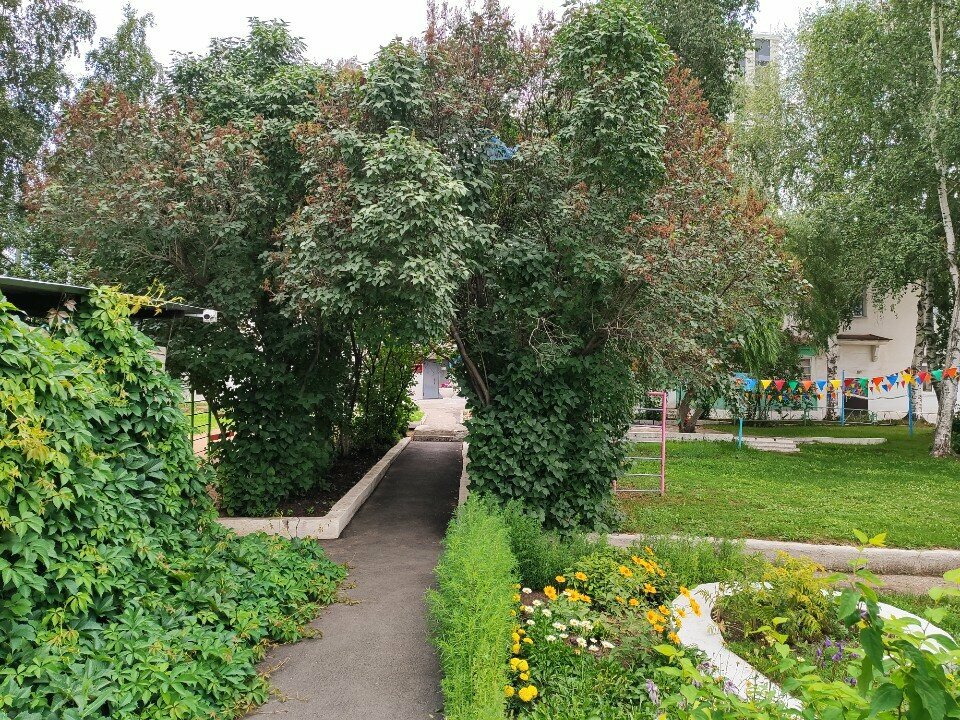 Anaokulları Mbdou Detsky sad № 32, Izhevsk, foto