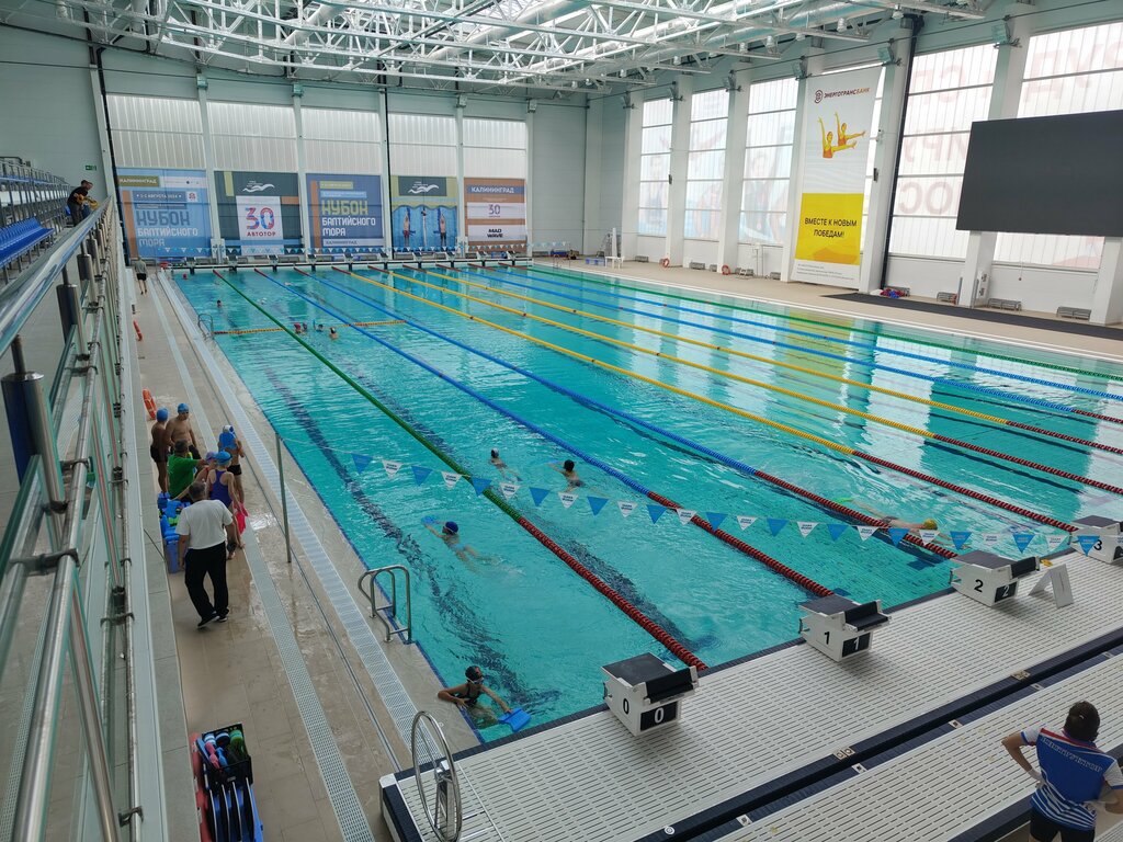 Çok amaçlı spor tesisleri Avtotor Arena, Kaliningrad, foto