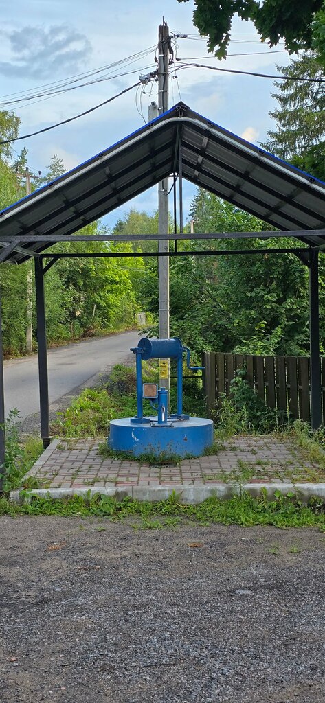 Tulumba Standpipe, Saint‑Petersburg ve Leningradskaya oblastı, foto