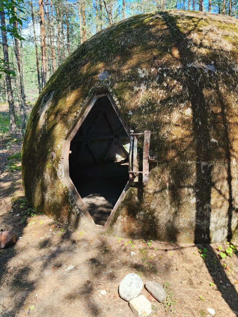 Turistik yerler Полигон Высоковольтной Лаборатории, Saint‑Petersburg ve Leningradskaya oblastı, foto