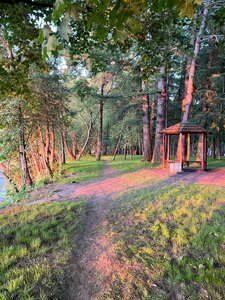 Шереметьевский парк (Svyatotroitskaya ulitsa No:1, selo Troitskoye), kültür ve eğlence parkları  Moskova ve Moskovskaya oblastından