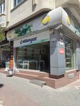 Tuzcular Ticaret (Samsun, Havza, Şehit Jandarma Komando Yarbay Mesut Kuru Cad., 20), tüp bayileri  Havza'dan