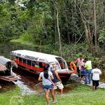 Amazon Jungle Life (Departamento de Loreto, Provincia de Maynas, Iquitos), geziler  Iquitos'tan