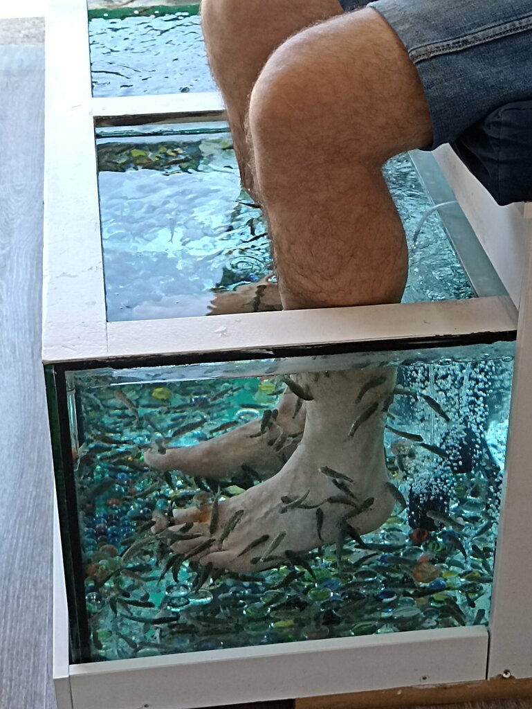 Spa Пилинг рыбками, Krasnodarski krayı, foto