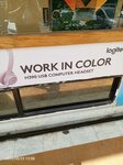 Work and color (Service Road No:101M, Blue Sector, Area Blue Block F), boya ve cila malzemeleri üretim ve satış yerleri  Islamabad'dan