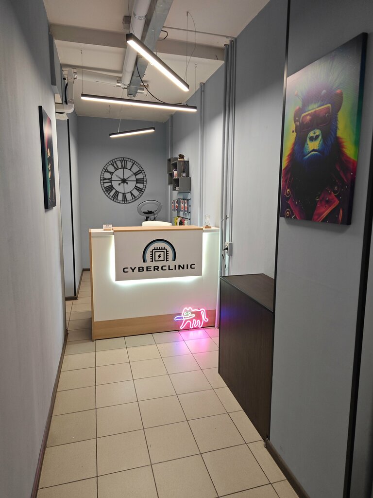 Telefon tamir servisi Cyber Clinic, Yekaterinburg, foto