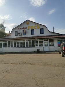 Кафе Русь (Kaluga Region, Babyninskiy Municipal District, selskoye poseleniye Muromtsevo, derevnya Brazhnikovo), kafe  Kalujskaya oblastından