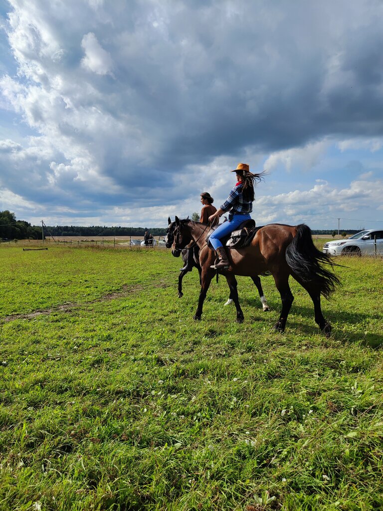 At ve binicilik kulüpleri Kapriol, Saint‑Petersburg ve Leningradskaya oblastı, foto