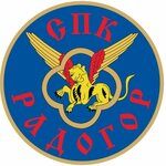 Spk Radogor (Kokkolevskaya ulitsa No:7к3, territoriya Pulkovskoye, Shushary Settlement), spor kulüpleri  Saint‑Petersburg'dan