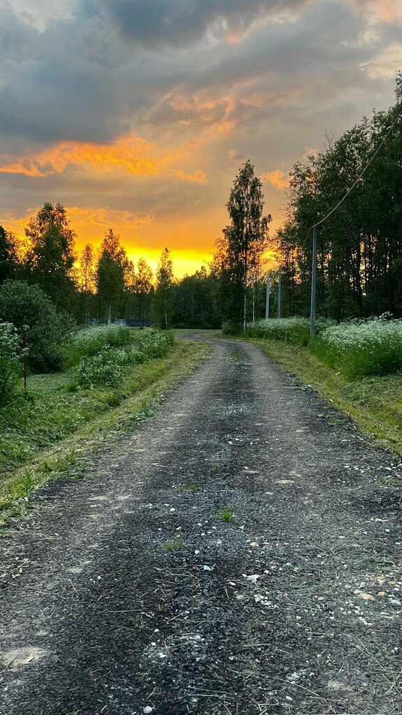 Arazi dizisi Пойма Рузы 3., Moskova ve Moskovskaya oblastı, foto