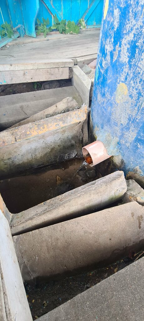 Pınar, çay родник, Vologodskaya oblastı, foto