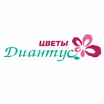 Диантус (No:5, 1-y mikrorayon), çiçekçiler  Buguruslan'dan
