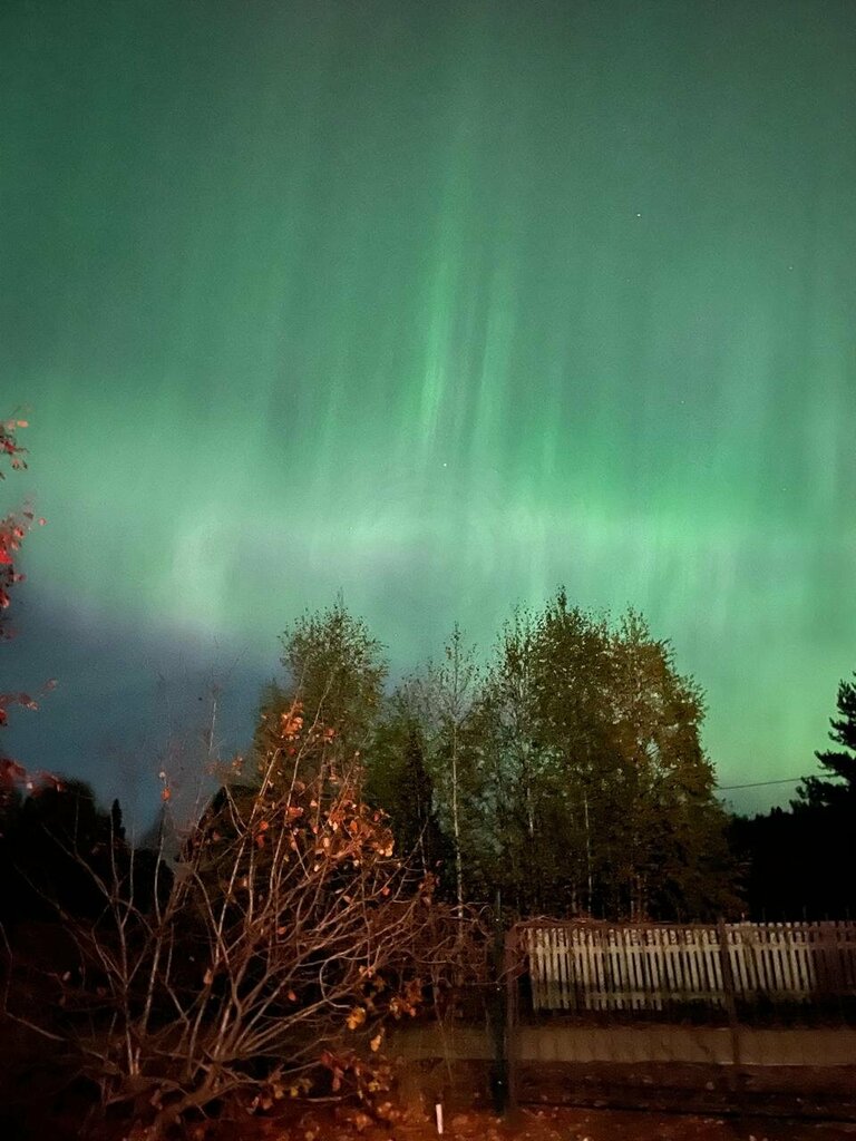 Toplu taşıma durağı Park Alley of Glory, Moskova, foto