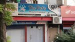 The pets hospital Islamabad (Islamabad, Sector G-10, Street 39), veteriner klinikleri  Islamabad'dan