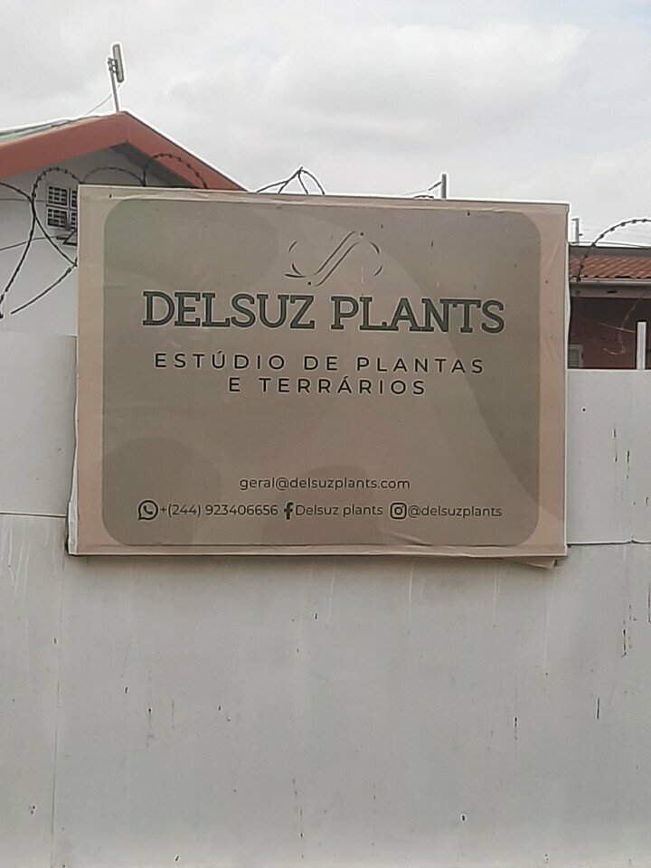 Sera ve bahçe ürünleri DElsuz Plants, Loanda, foto