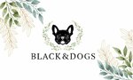 Black&Dogs (Aliya Moldagulova Street No:81А), evcil hayvan kuaförleri  Yekibastuz'dan (Ekibastuz'dan)