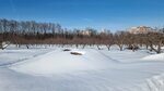 Moscow State University, Fruit and Berry Department of the Botanical Garden (No:1с31, Zapadniy Administrative District, Ramenki District, Leninskie Gory Territory, Moscow), üniversiteler  Moskova'dan