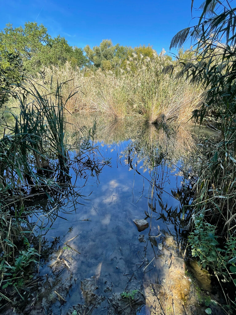 Pınar, çay Spring, stream, Volgograd, foto