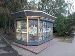 Pechat (Moskovskaya Street No:32), gazete bayi  Himki'den