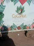 Cocohut (Najmuddin Street No:16/3), i̇çecek üretimi  Karaçi'den