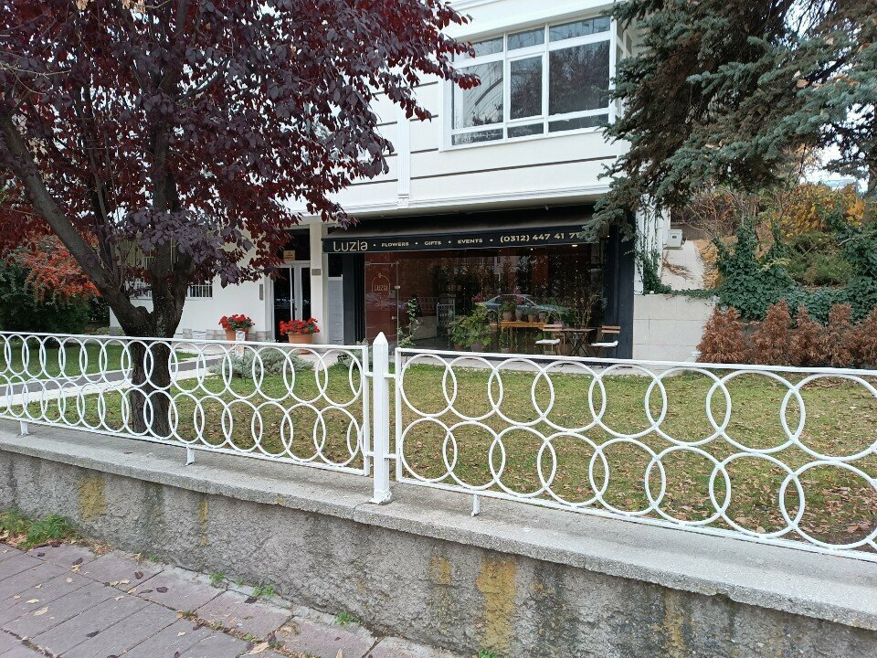 Çiçekçiler Luzia Floral Çiçekçilik, Ankara, foto
