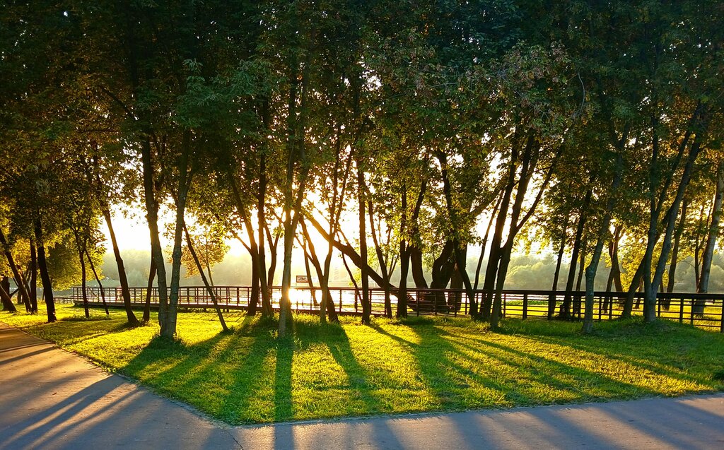Seyir terası Смотровая площадка, Moskova, foto