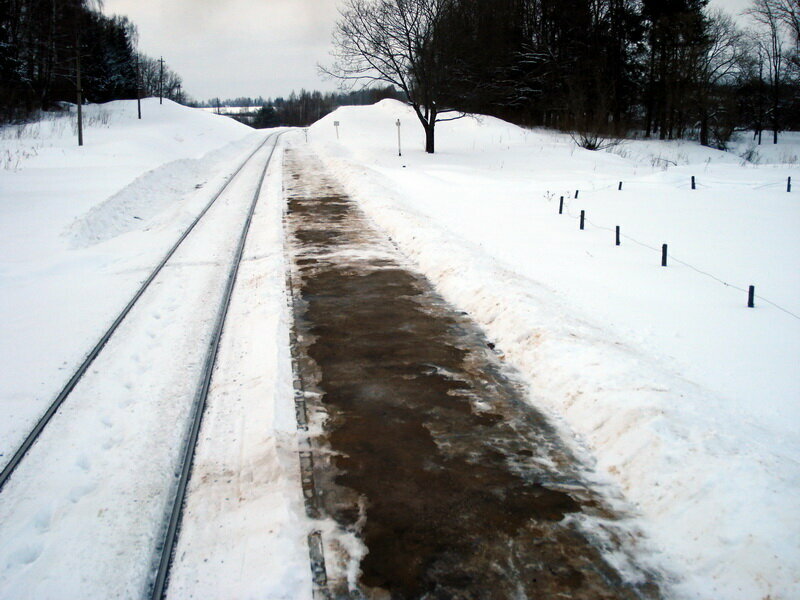 Bank Bench, Vitebskaya oblastı, foto