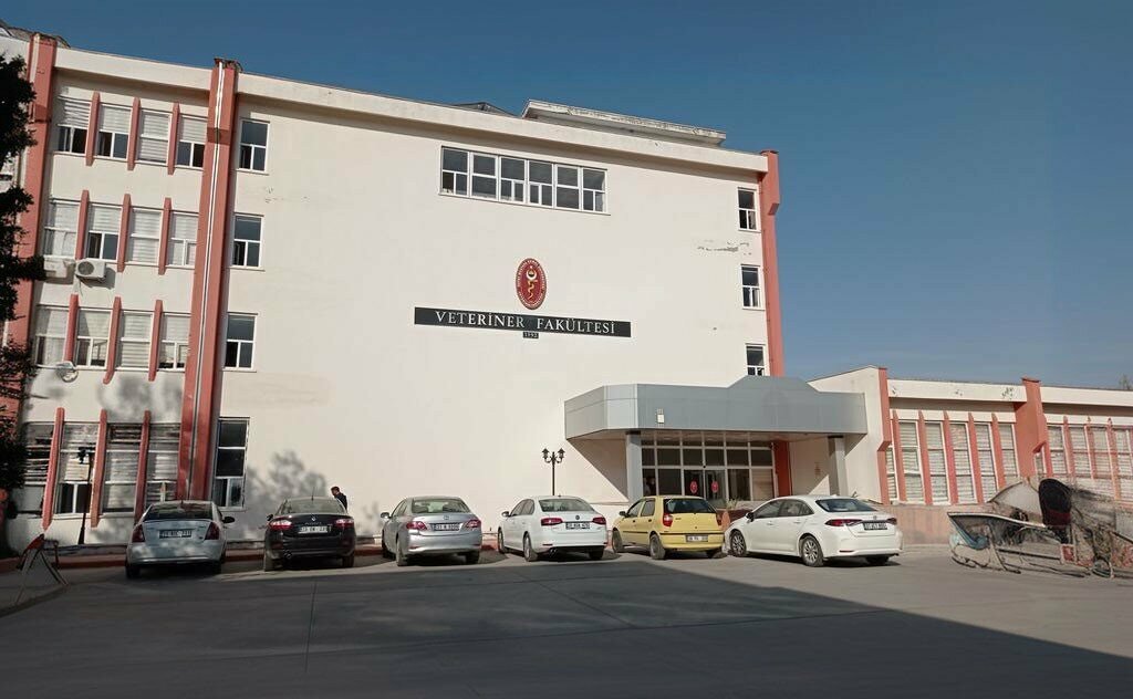 Üniversiteler Mustafa Kemal Üniversitesi Veteriner Fakültesi, Antakya, foto