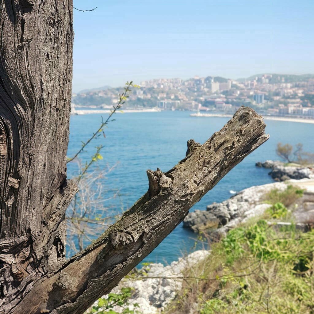 Kültür ve eğlence parkları Zonguldak İstanbul Park, Zonguldak, foto