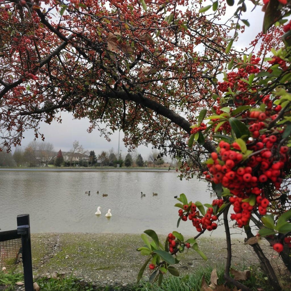 Kültür ve eğlence parkları Atatürk Kültür Parkı, Karacabey, foto