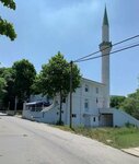 Hasanbaba Cami (Yalova, Çınarcık, Hasanbaba Mah., Küçük Hasanbaba Sok., 8), cami  Çınarcık'tan