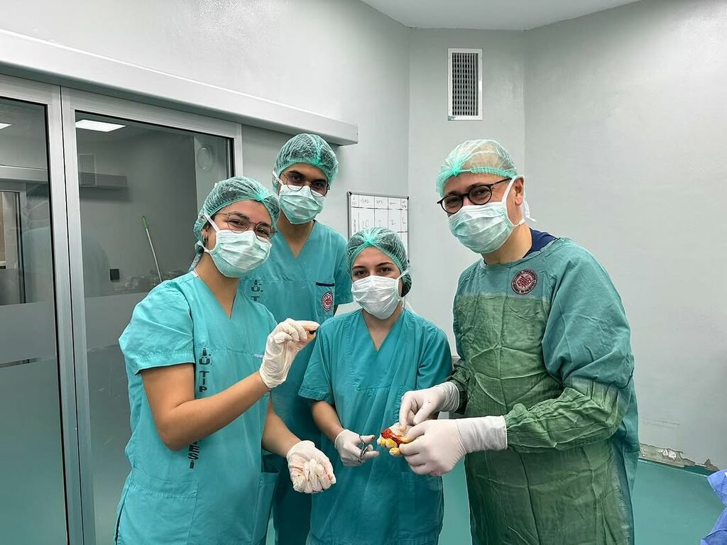 Özel muayenehaneler Prof. Dr. Hakan Yanar, İstanbul, foto