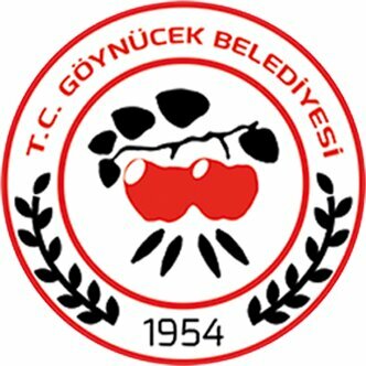 Cami Hasanbey Köyü Cami, Göynücek, foto