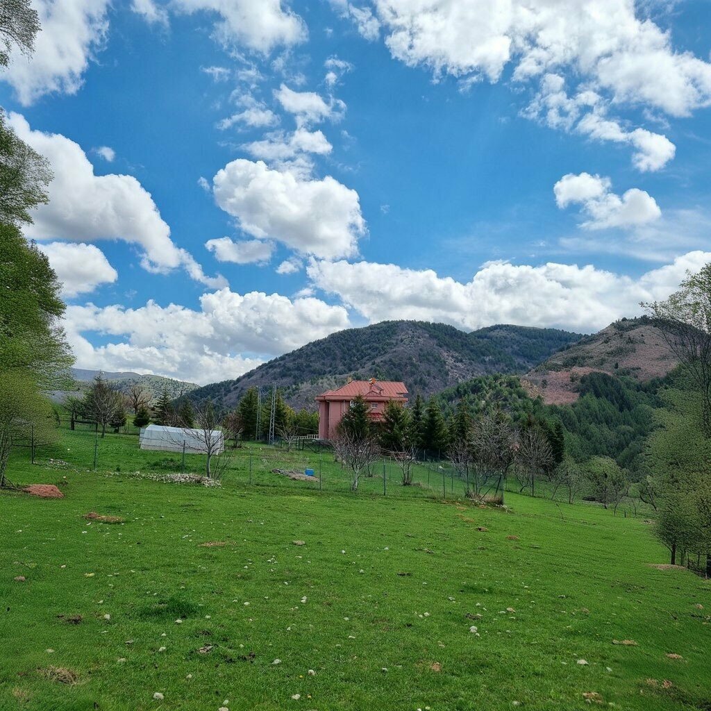 Muhtarlıklar Avşar Köy Muhtarlığı, Zara, foto