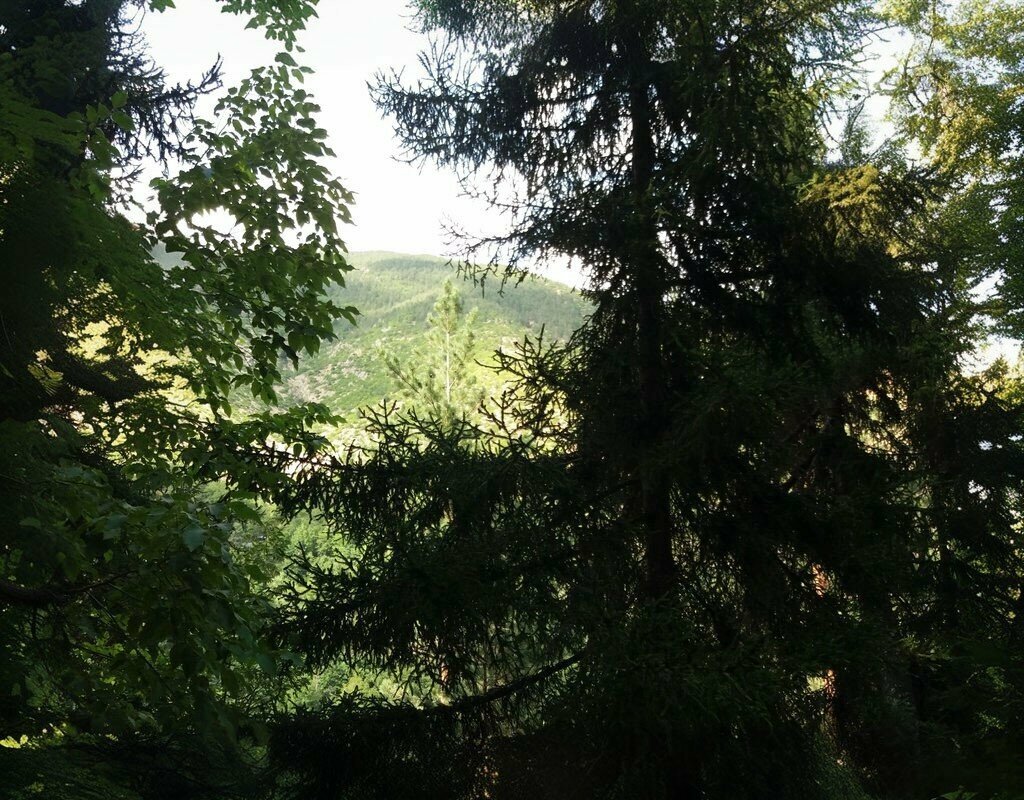 Otel Barhal Pansiyon, Yusufeli, foto