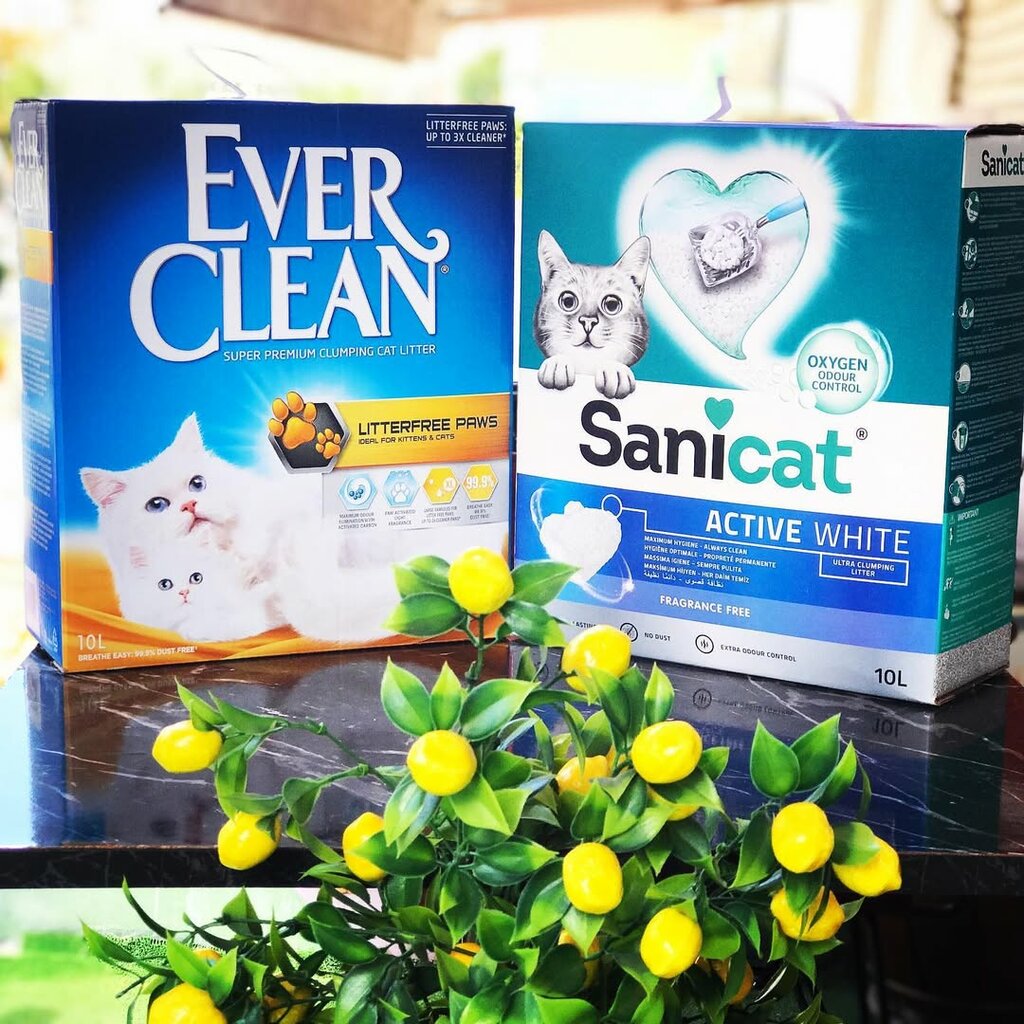 Evcil hayvanlar için ürünler Avrupa Pet shop, İstanbul, foto