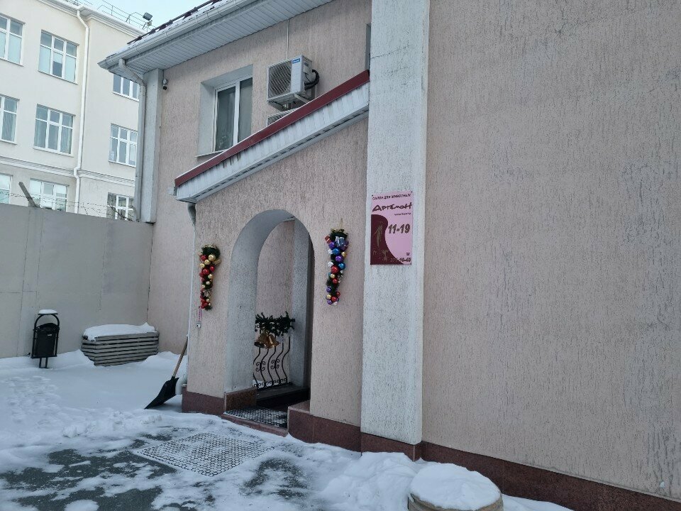 Evcil hayvan kuaförleri Артемон, Yekaterinburg, foto