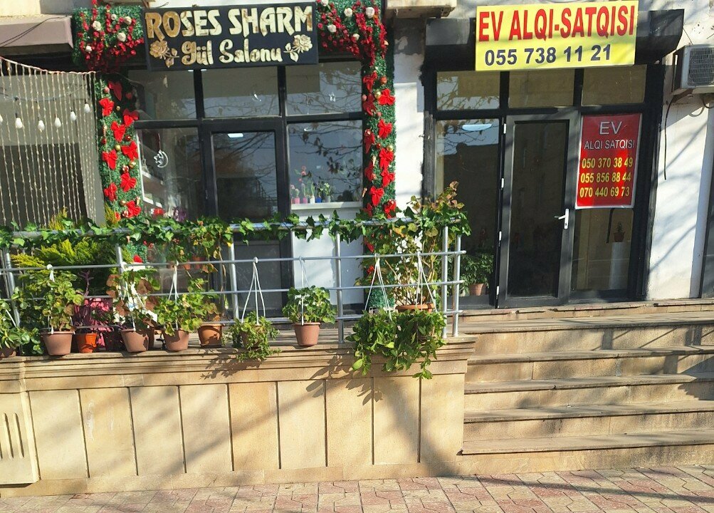 Çiçekçiler Roses Sharm, Bakü, foto