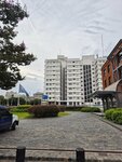 Prefectura Naval Argentina (Buenos Aires, Avenida Eduardo Madero), devlet denetim organları  Buenos Aires'ten