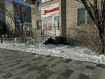 Nomad life (Patsayev Street No:6, Elek turǵyn úı alaby), sigorta şirketleri  Aktöbe'den