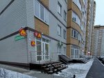 Зоомир (Kozo-Polyanskogo street No:3), petshop  Voronej'den