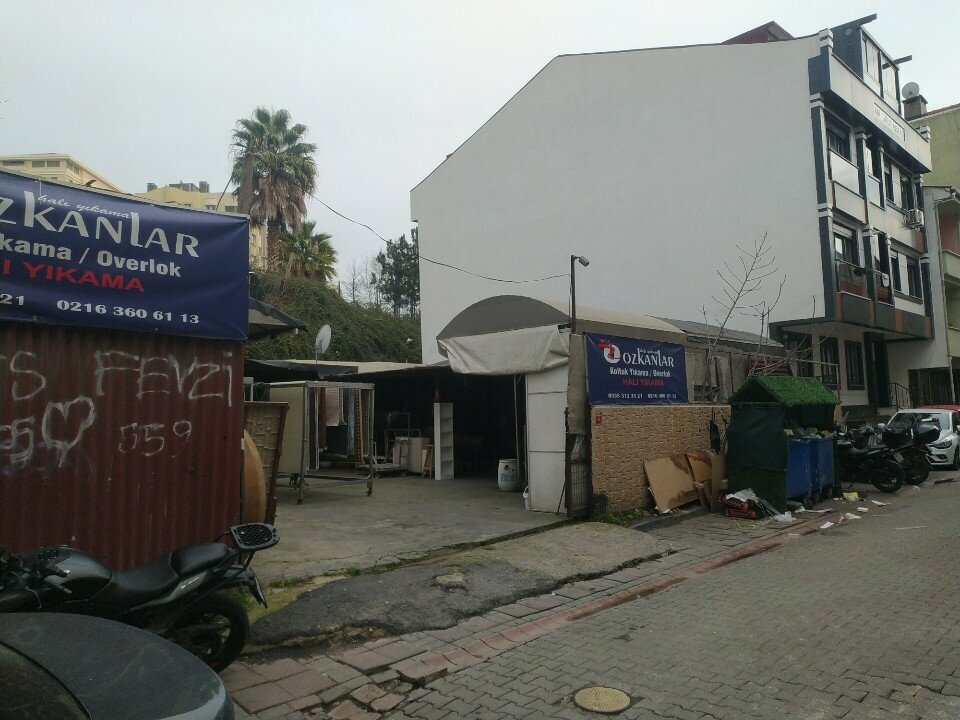 Halı yıkamacılar Özkanlar Halı Yıkama, İstanbul, foto