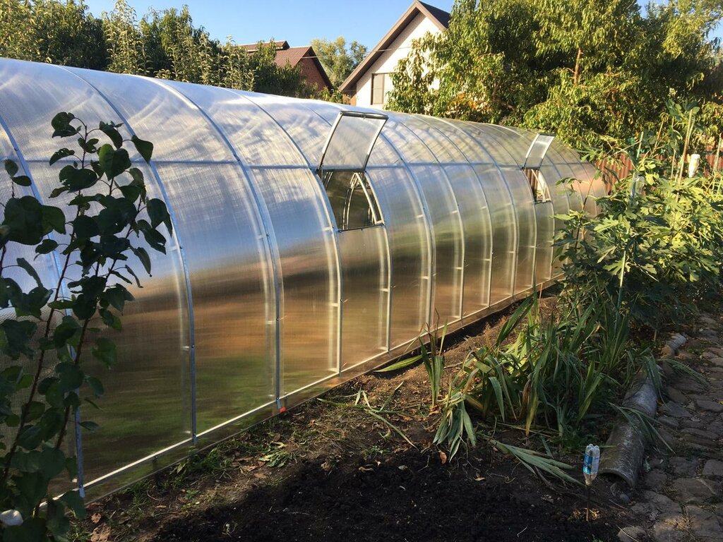 Sera ekipmanları Plasthall, Krasnodar, foto