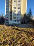 Arı Emlak (Eryaman Mah., 274. Sok., No:5, Etimesgut, Ankara), emlak ofisi  Ankara'dan