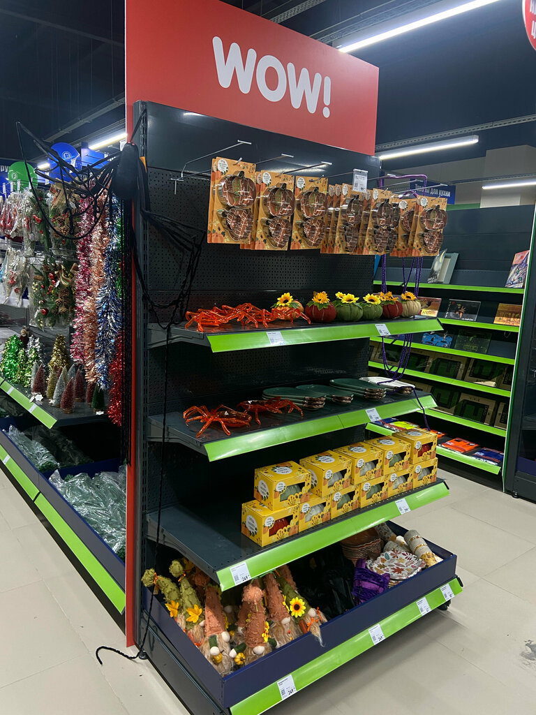 Ev eşyası mağazaları Fix Price, Voronejskaya oblastı, foto