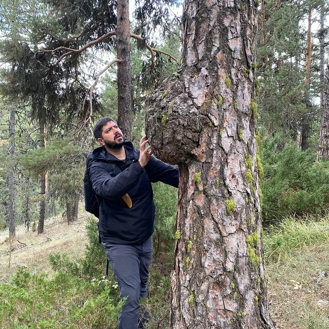 Tıp merkezleri ve klinikler Kırklareli Üsküp Aile Sağlık Merkezi, Kırklareli, foto