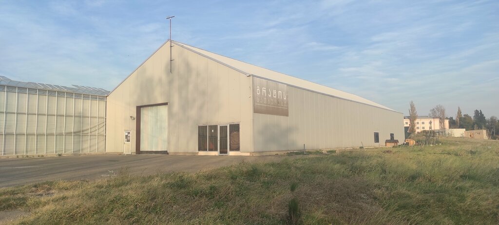Fidan yetiştiriciliği Grato Greenhouse, Tiflis, foto